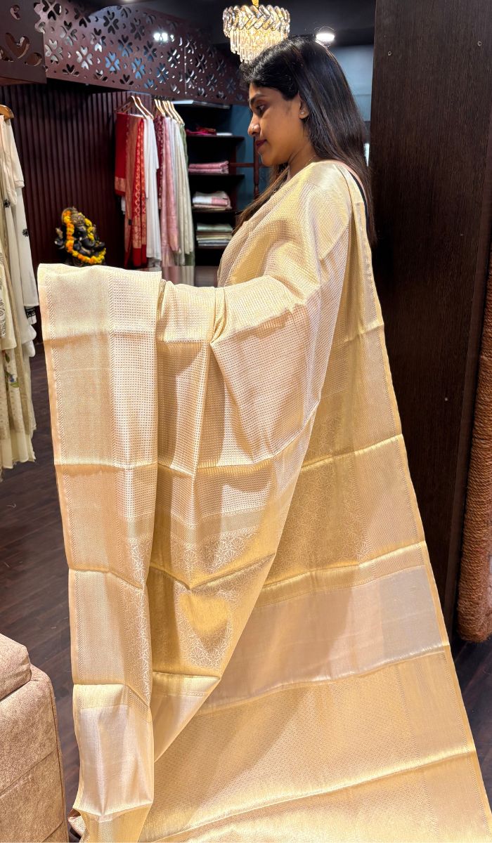 SEMI TISSUE SAREE 21012511 – Ashima Fashion Store
