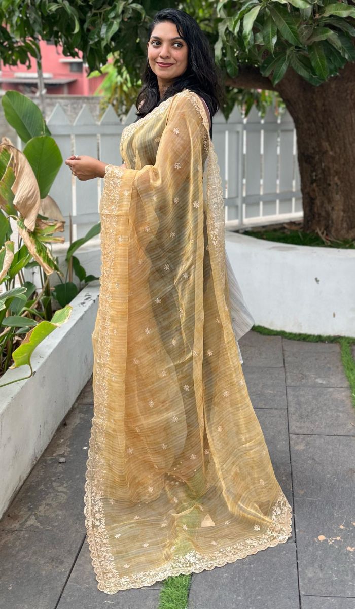 ORGANZA SAEEE 1103251 – Ashima Fashion Store